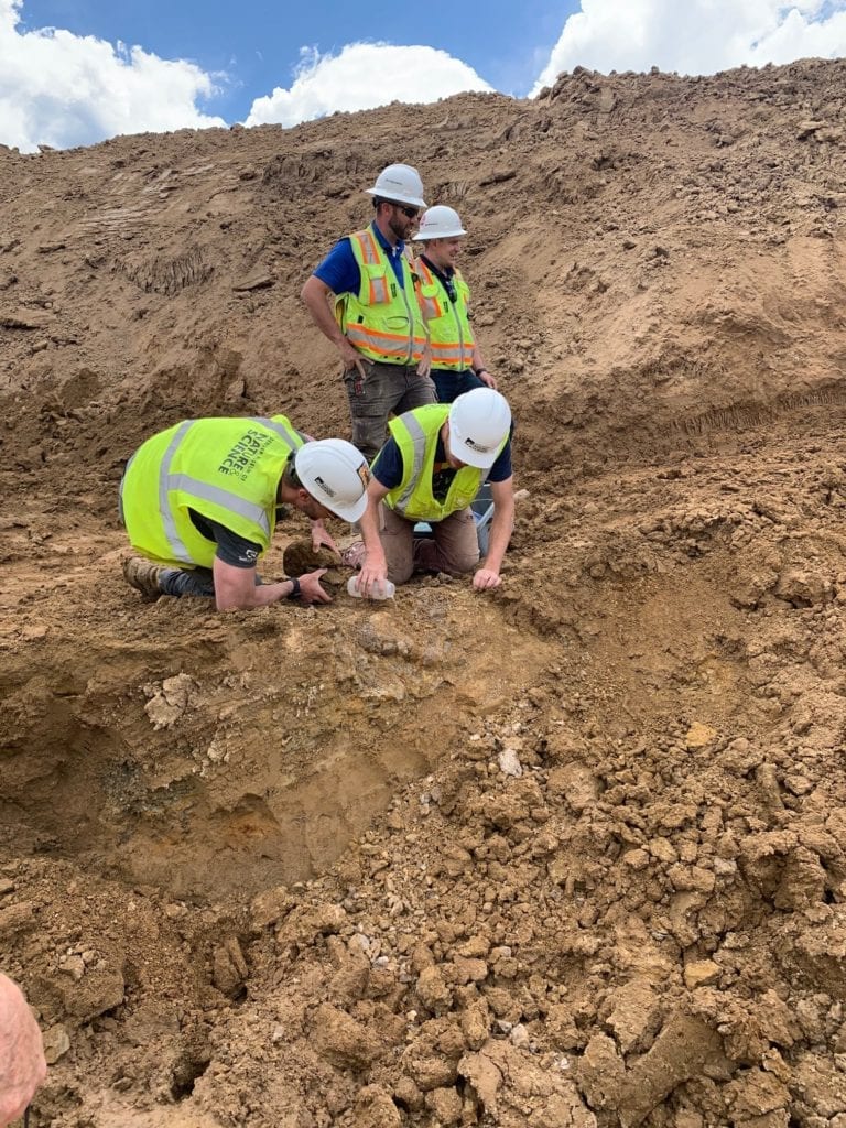 Partnership yields dinosaur treasures at Wind Crest - Colorado Real ...